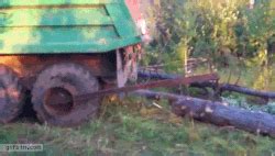 Tree Trimming Tag PrimoGIF Tree Trimming Tag PrimoGIF