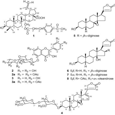 Structures Of Some Compounds Identified From The Methanolic Extract Of Download Scientific