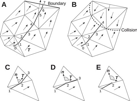 Illustration Of The Lagrangian Approach A Trajectory Following The