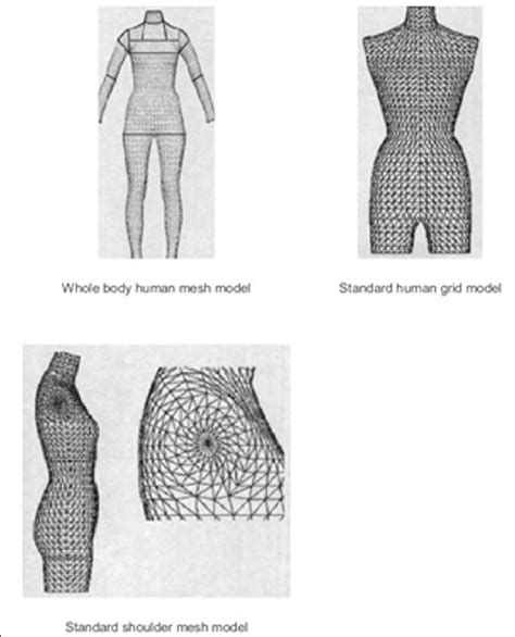 Mesh Model Reconstruction Results Download Scientific Diagram