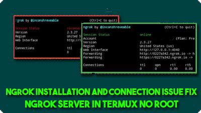 Ngrok Install And Use In Termux