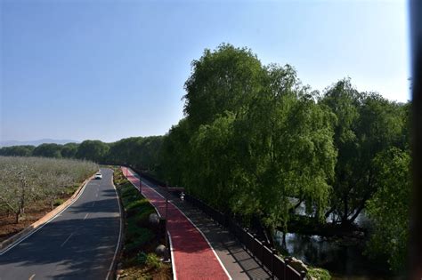 昭阳洒渔苹果花开蜂蝶绕 柳绿水清春意闹