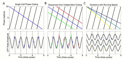 Figure A2 Sequences In The High Phase Locking Limit K → ∞ Black
