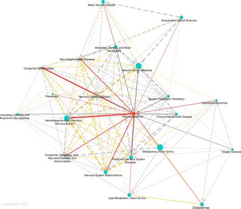 Humanpsd™ Polyneuropathies Di000010163