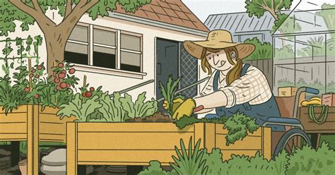 5 Best Practices To Sustainably Improve Core Web Vitals