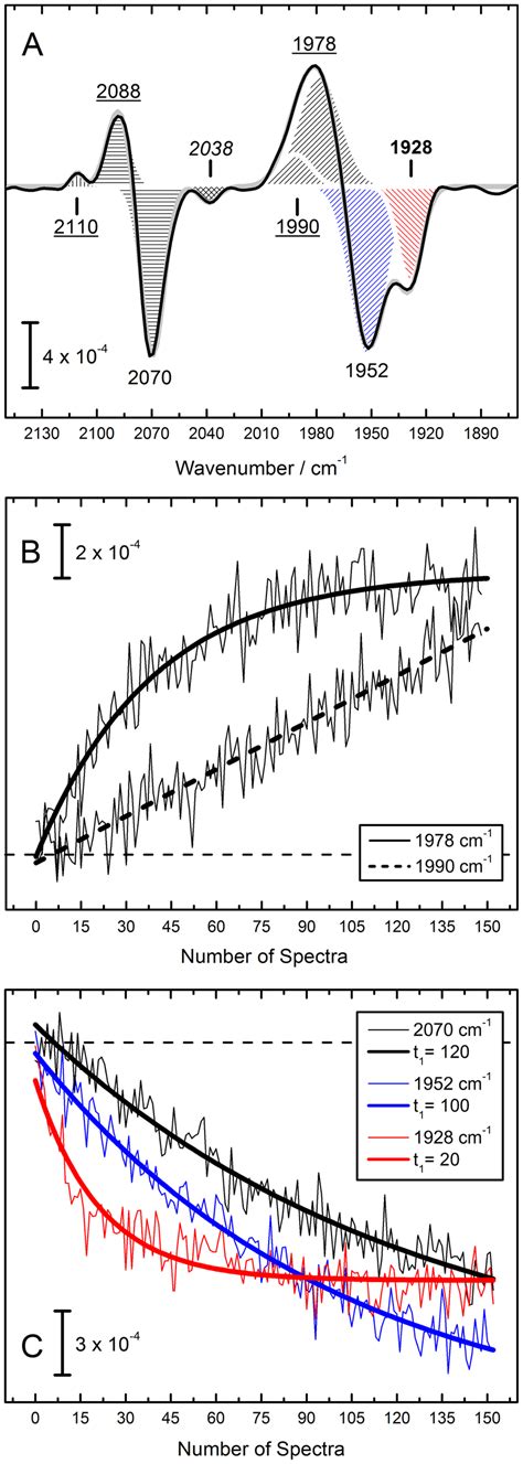 H2O2 IR Difference Spectrum Of HypCDMC Fig 3A Negative Features Download Scientific Diagram