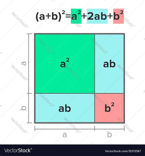 Graphical Visualization An Algebraic Binomial Vector Image