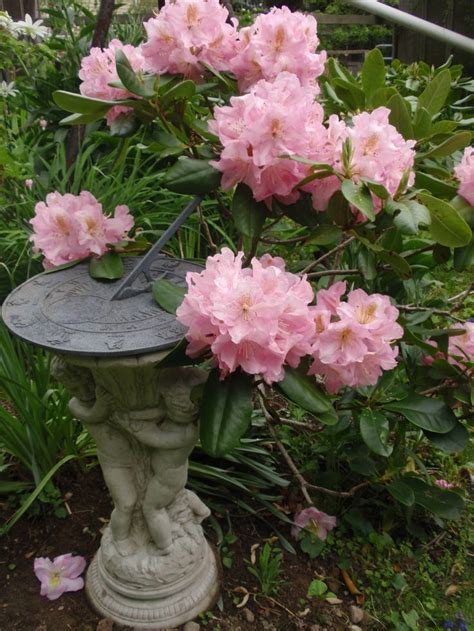 Sundial Garden Farm Plants