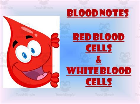 Blood Notes Red Blood Cells And White Blood Cells Powerpoint