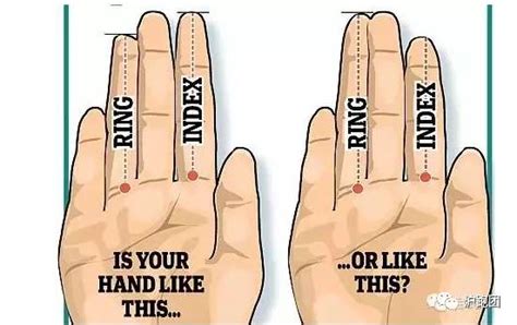 无名指怎么算长 无名指比食指长 第9页 大山谷图库