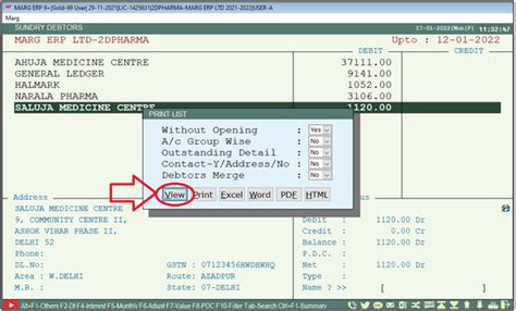 How To Filter Debtor Ledger On The Basis Of Amount In Marg Software