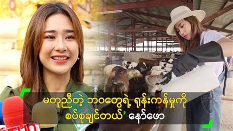 မတူညီတဲ့ ဘဝတွေရဲ့ ရုန်းကန်မှုကို စပ်စုချင်တယ် နော်ဖော Youtube