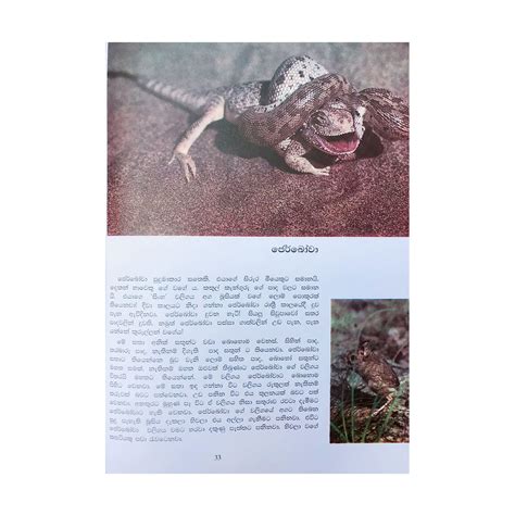 දේ දුන්නෙන් සෙවන ලබන වන පොව්වෝ De Dunnen Sewana Labana Wana Powwo Pothak Lk Pvt Ltd