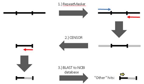 2 nested annotation workflow regarding the characterization of download scientific diagram