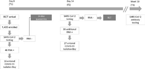 Flow Diagram Of Sars Cov 2 Surveillance After Arrival For Bct On Day Download Scientific