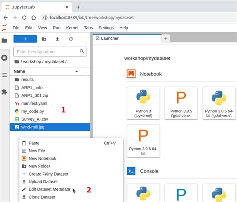 Using The Jupyterlab Extension — Fairly Toolset 100 Documentation