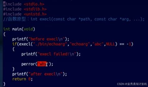 Linux进程 Exec族函数 Csdn博客 Linux进程 Exec族函数 Csdn博客