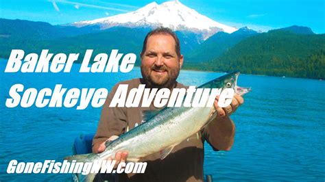 Baker Lake Sockeye Adventure Gone Fishing Northwest