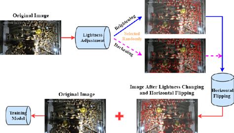 Figure 9 From Automated Chicken Counting Using Yolo V5x Algorithm