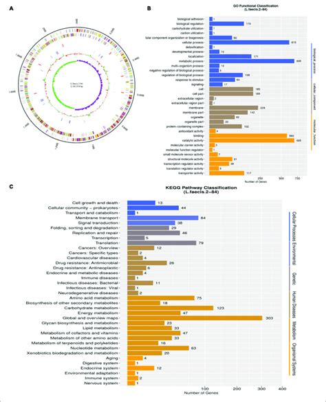 Building Interactive Dashboards For Genomic Data Visualization