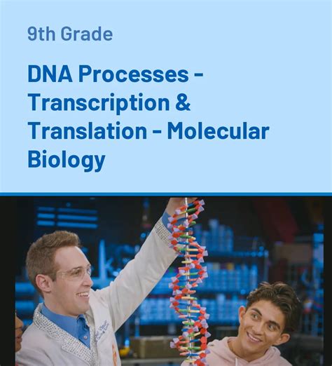 Use A Codon Table To Transcribe And Translate Dna Sequences Flashcards High School Science