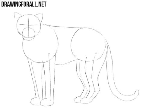 How To Draw A Leopard Drawingforall Net