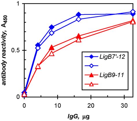 Leptospirosis Patient Antibodies Recognize Download Scientific Diagram