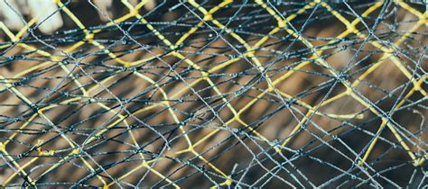 배너 추상 클로즈업 매크로 실제 사진 아름다운 벽지 어부 로프 그물 질감 섬유 표면 패턴 미래 지향적 인 미묘한 물결 치는 선은 현대적인 배경을 예술합니다 베이지 그레이