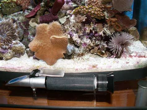 Refractometer Pce Instruments Handheld Refractometer Pce 0100 Salinity