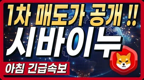 시바이누코인 1차 매도가 공개 아침 긴급속보 Youtube