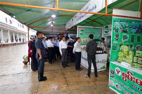 ပအိုဝ်းဒေသတွင်း လျှပ်စစ်ဓာတ်အားထုတ်လုပ်နိုင်ရေး ဝိုင်းဝန်းကြိုးပမ်း ဆောင်ရွက်ကြစေလိုကြောင်း