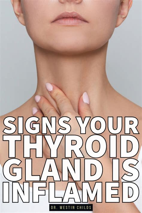 6 Signs Of Thyroid Gland Inflammation In Hashimotos