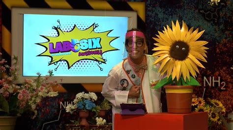 Lab Six Awesome Moments Spanish