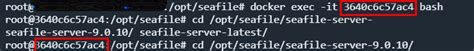 Docker Seafile