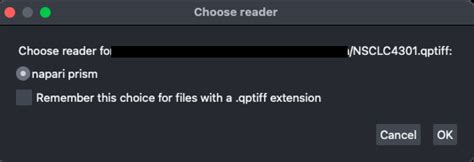 Getting Started — Napari Prism