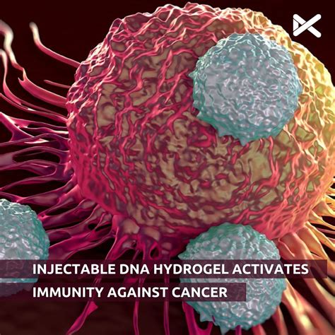 Dr Sonika Phogat Posted On Linkedin