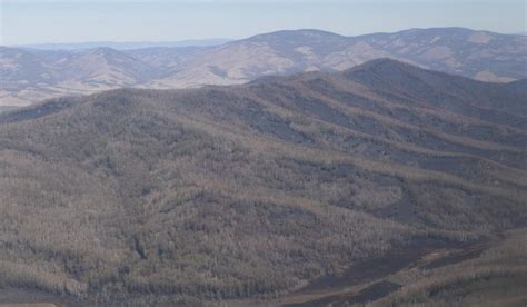 Булган аймгийн Баян Агт суманд гарсан ойн түймрийг бүрэн унтраалаа