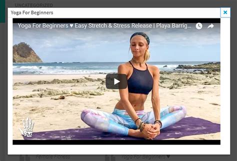 Youtube Gallery Popup Plugin For Wordpress WP Missing