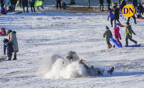 Цана чарганаас унаж гэмтсэн 126 тохиолдол бүртгэгджээ Dnn Mn