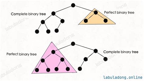 Binary Tree Basic And Common Types Labuladong Algo Notes