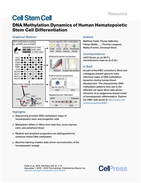 Pdf Dna Methylation Dynamics Of Human Hematopoietic Stem Cell Differentiation