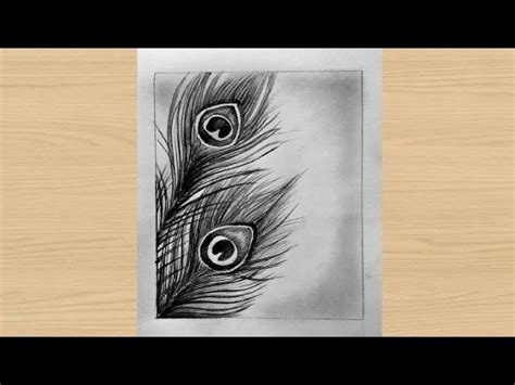 How To Draw A Peacock Feather With A Pencil How To Draw A Peacock
