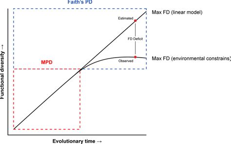 Schematic Representation Of The Functional Deficit Caused By The Use Of