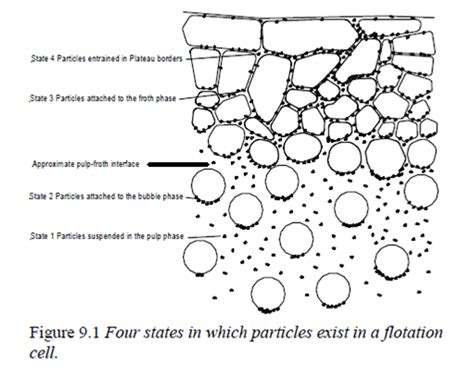 Importance Of Particle Size And Shape In Flotation