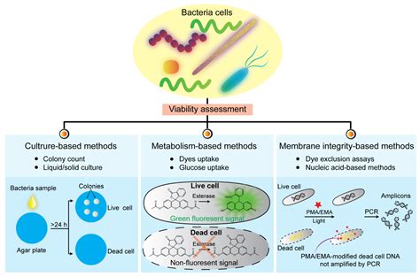 Pathogenic Microorganisms Chart Pathogenic Microorganisms