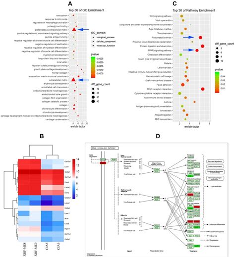 Results Of Genome Microarray Analysis A Go Pathway Enrichment Based Download Scientific