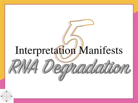 5 Interpretation Manifests Rna Degradation Genetic Education