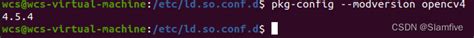 Ubuntu2004在vscode配置opencvubuntu Vscode配置opencv Csdn博客