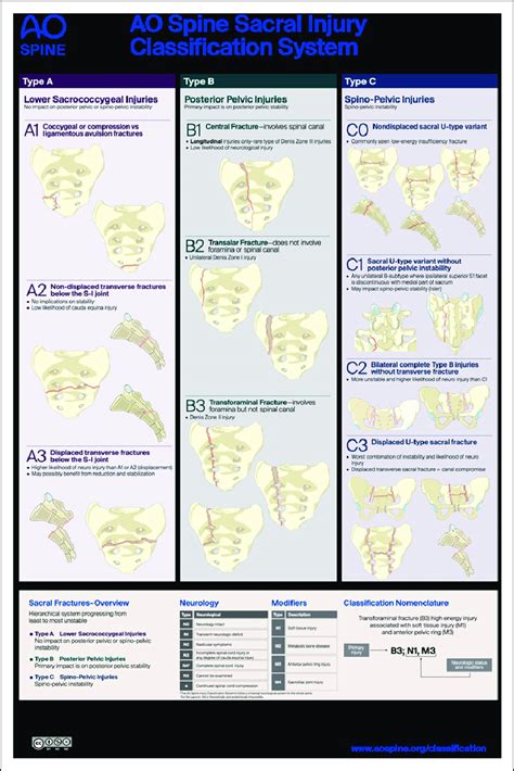 AO Spine Sacral Injury Classification Poster Describes The Hierarchal